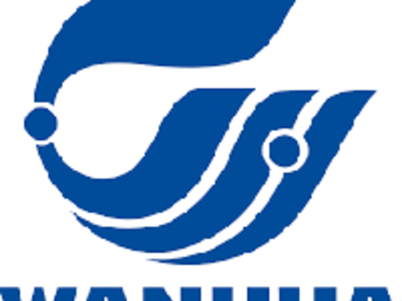 Wanhua reports a sharp decline in annual net profit